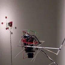 archive — David Bowen