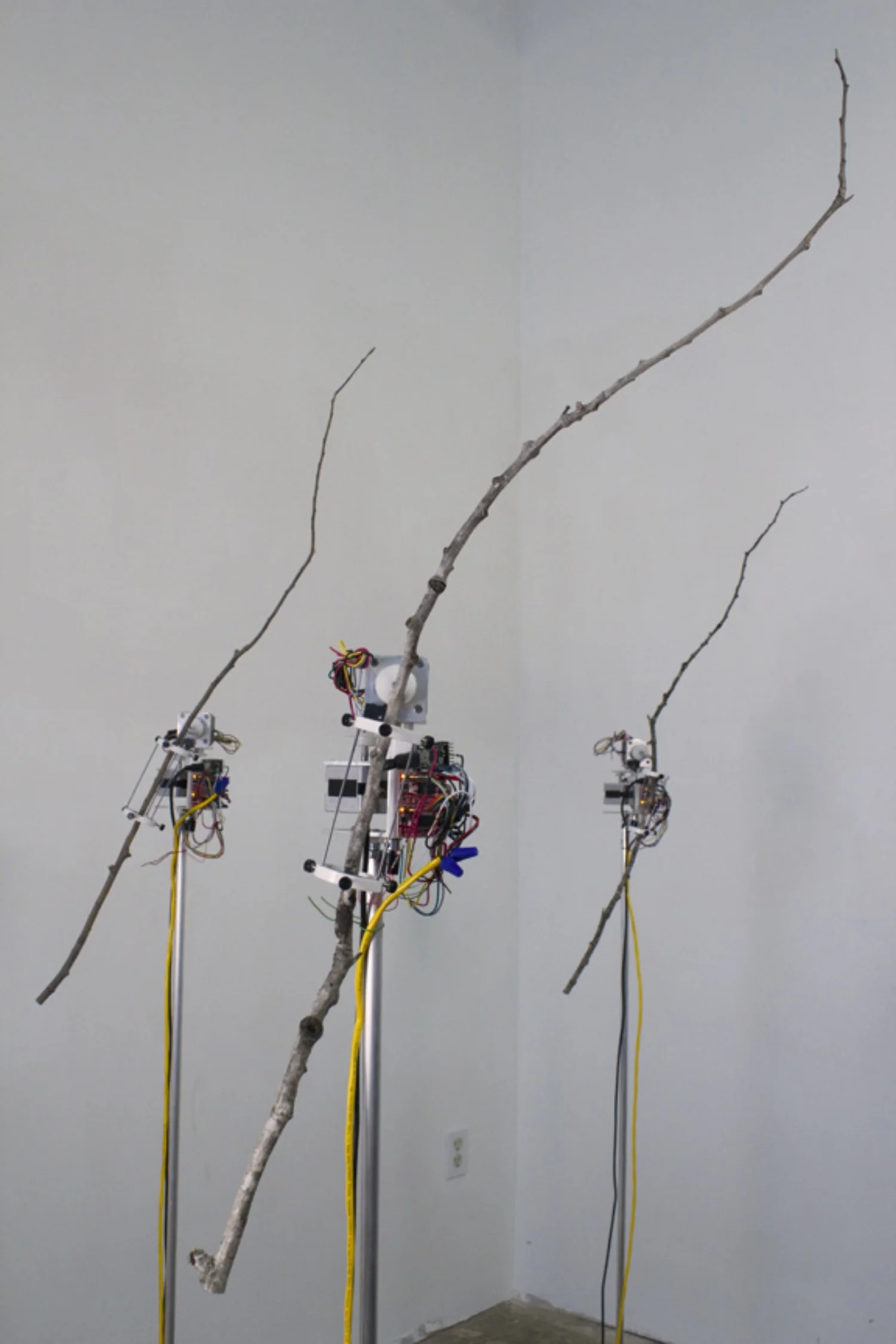 SPACEJUNK — David Bowen