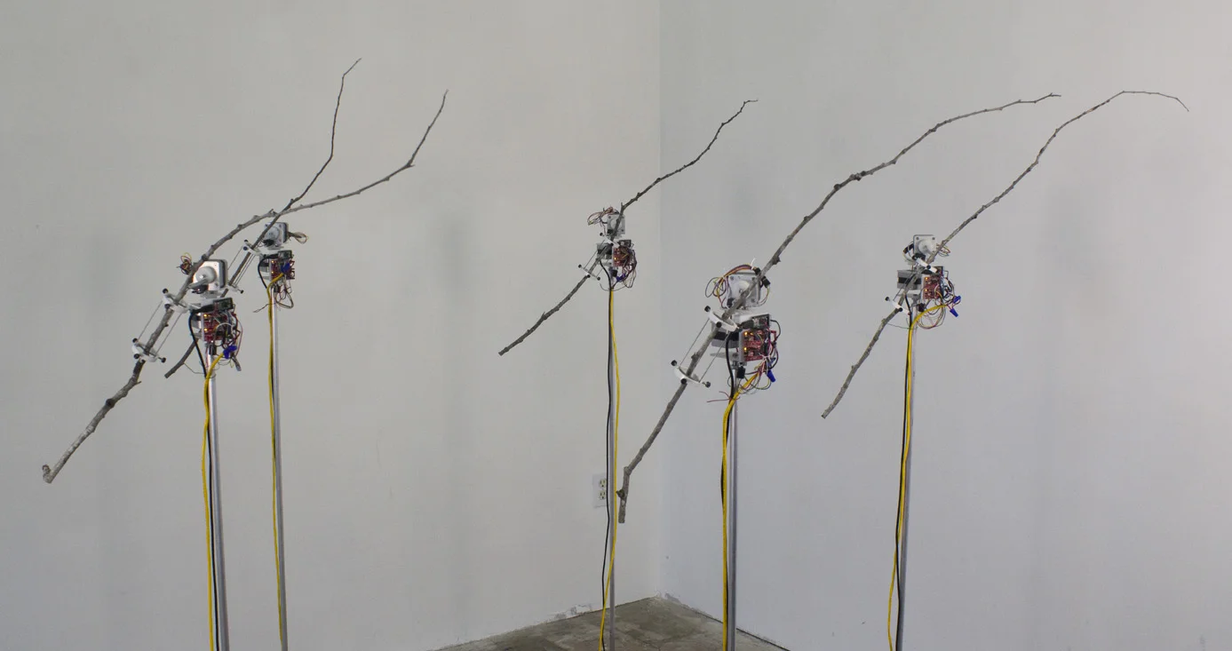 SPACEJUNK — David Bowen