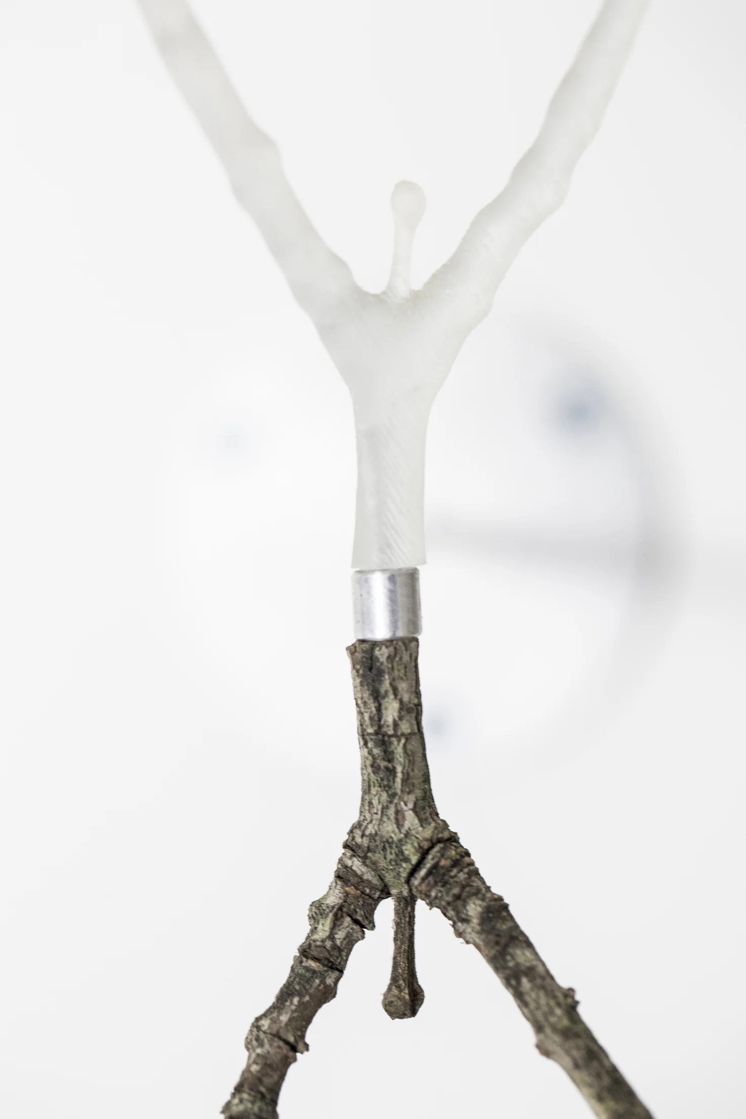 5twigs — David Bowen