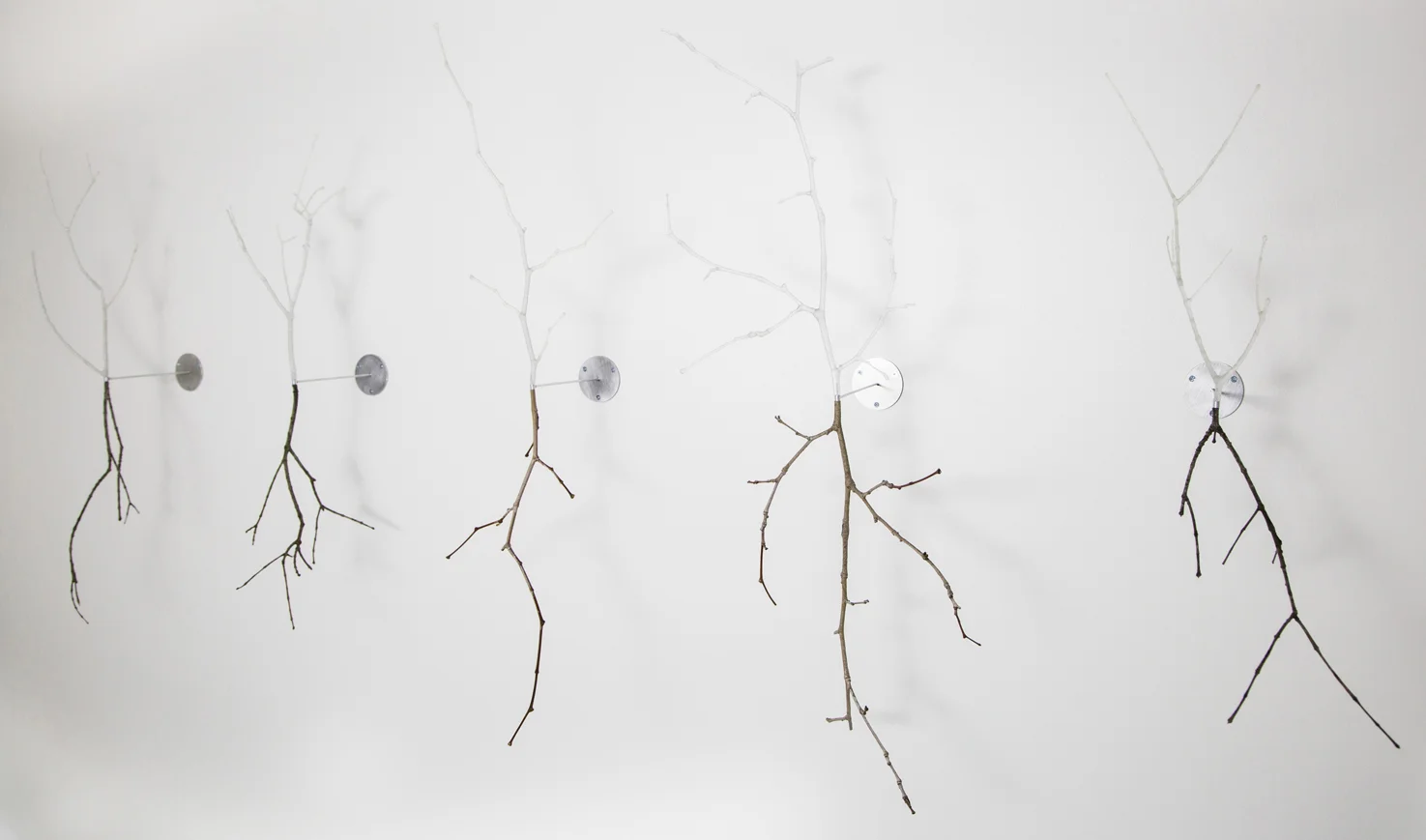 5twigs — David Bowen