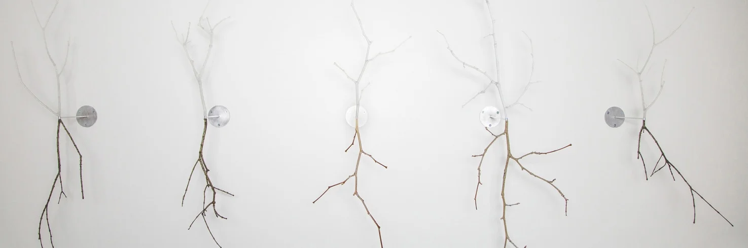 5twigs — David Bowen