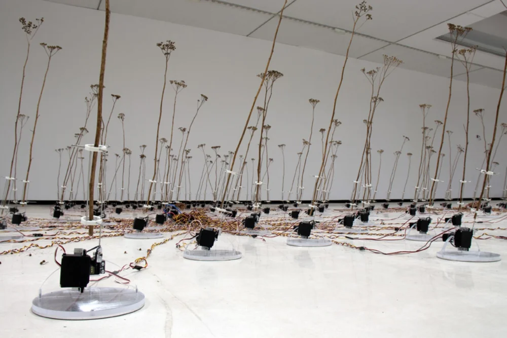 tele-present wind — David Bowen