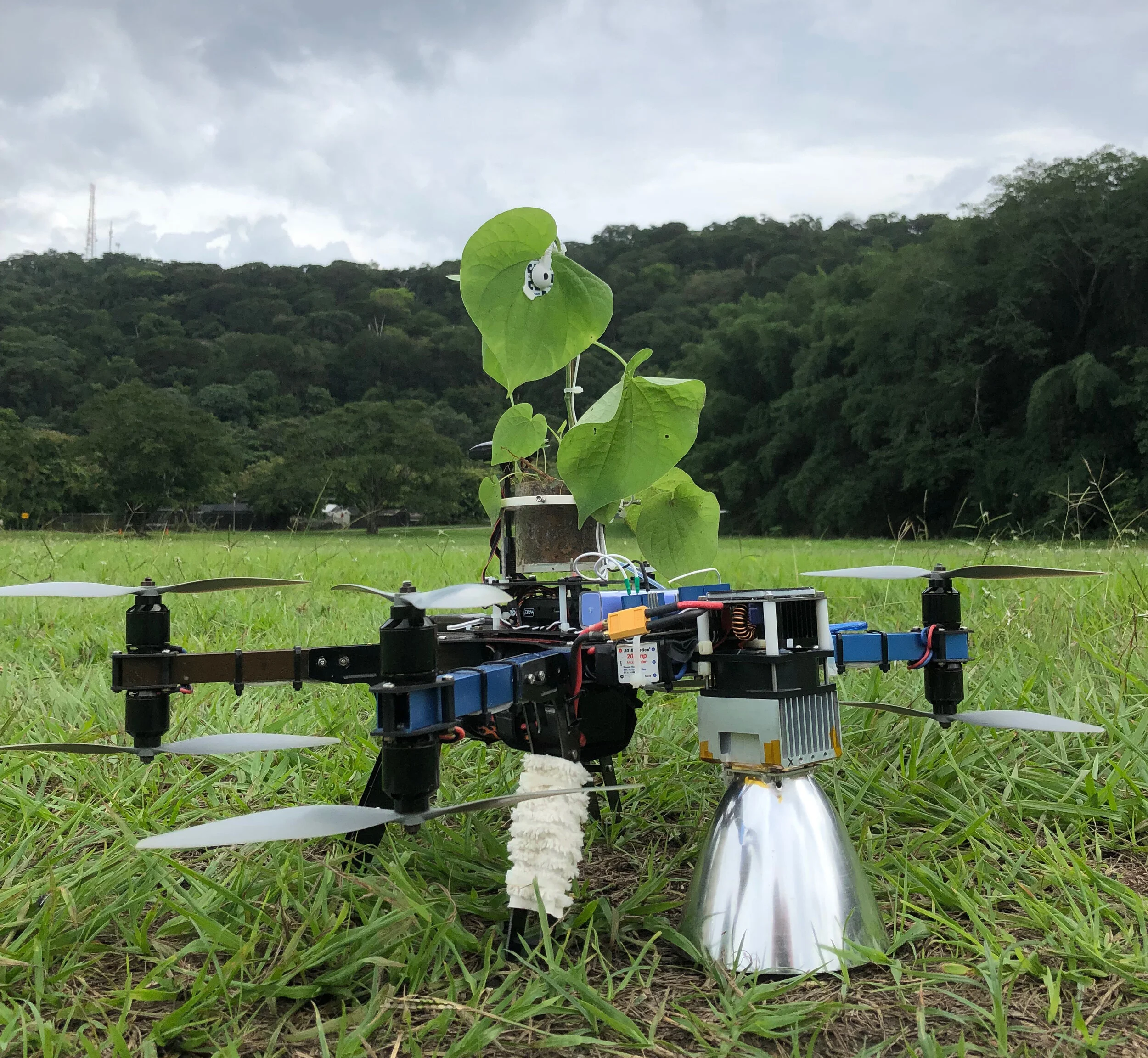 plant drone — David Bowen