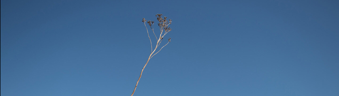 visual index of recent works — David Bowen