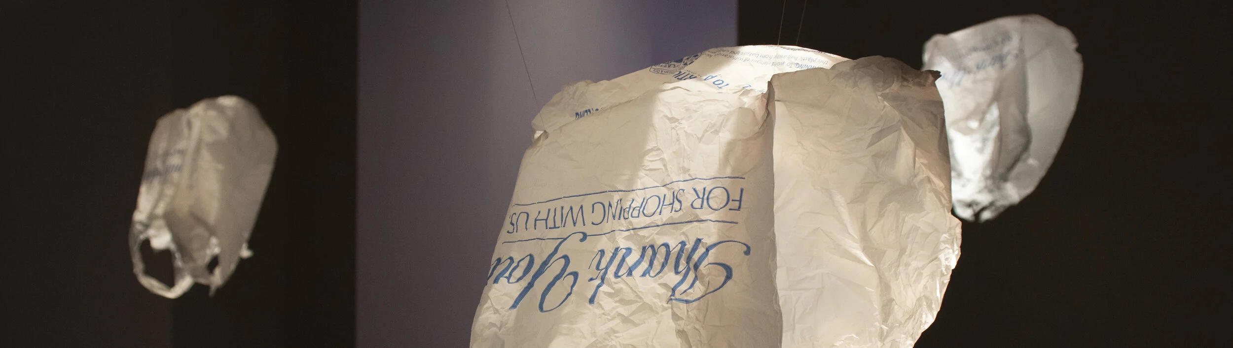 wilderness — David Bowen