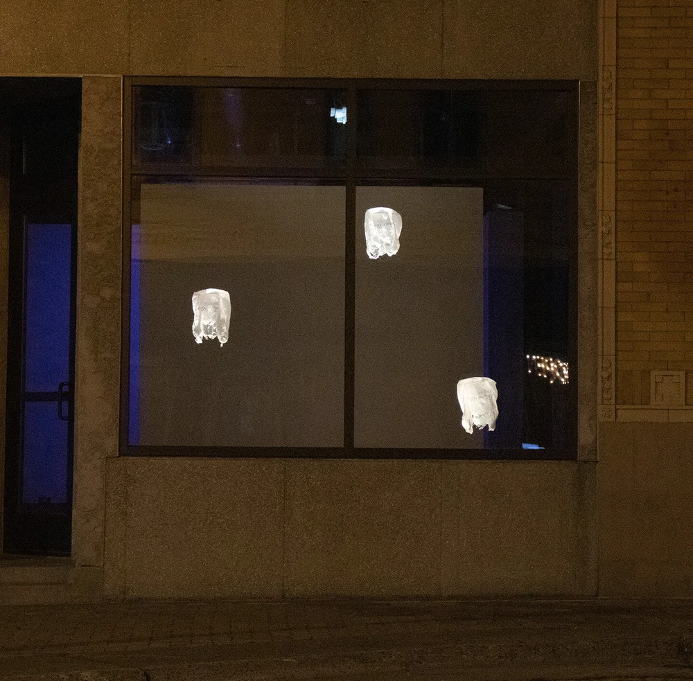 wilderness — David Bowen