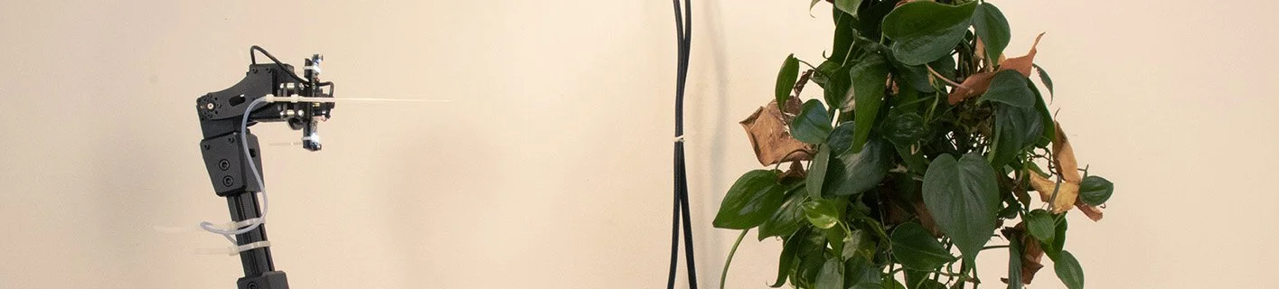 plant_bot — David Bowen