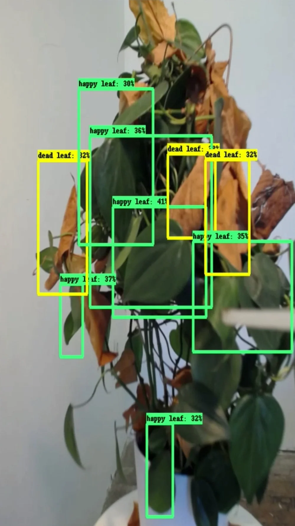 plant_bot — David Bowen