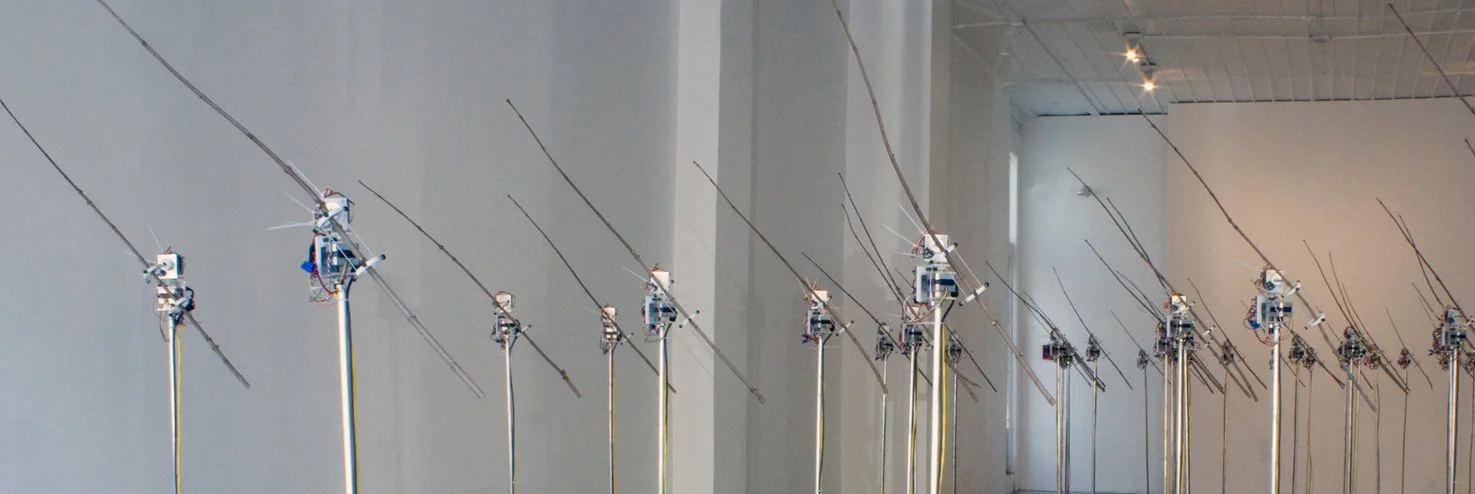 News — David Bowen