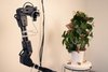 plant_bot — David Bowen