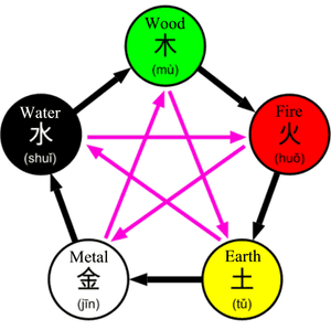 Essential Oils to Balance the Metal Type Personality