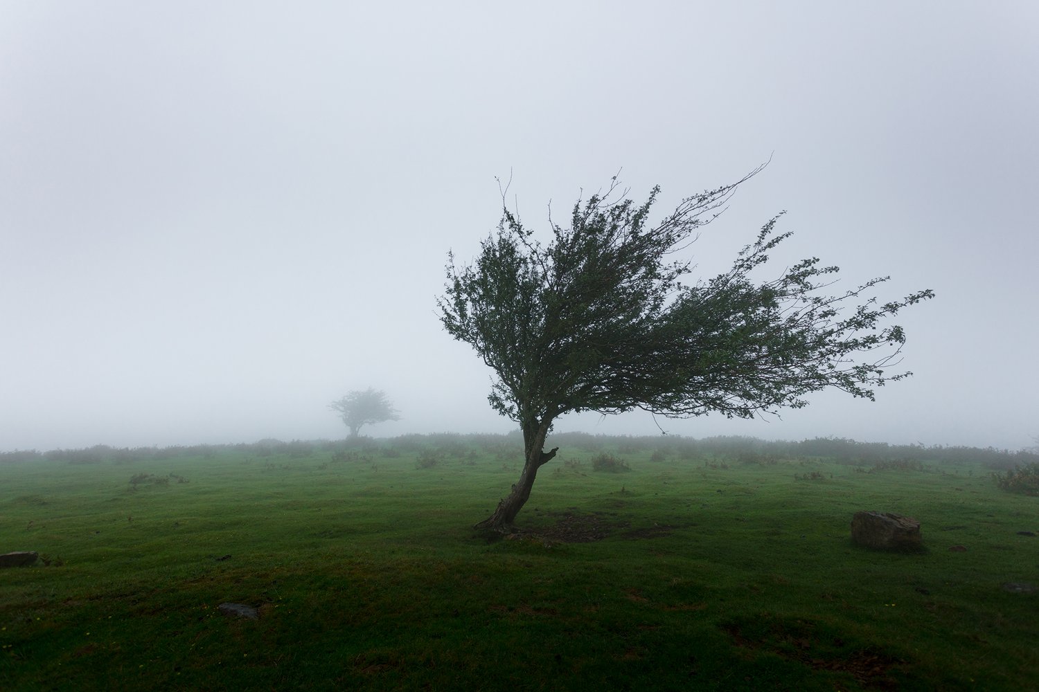 Overcoming the Challenges to Healing: Wind — A Center for Natural Healing
