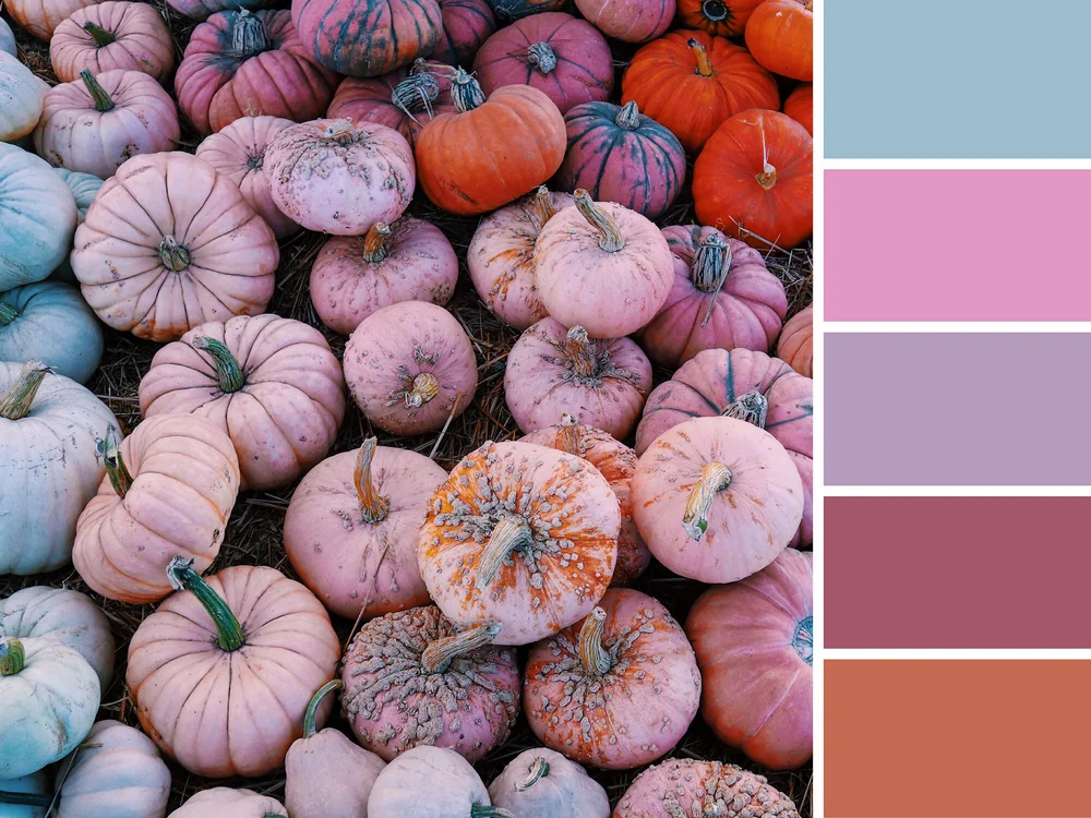 Halloween Color Schemes — Hue & Tone Creative