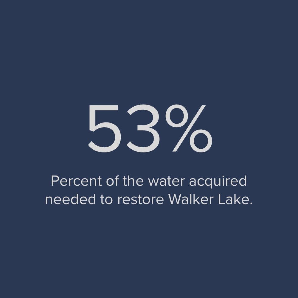 Walker Basin Conservancy