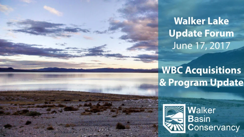 Multimedia — Walker Basin Conservancy