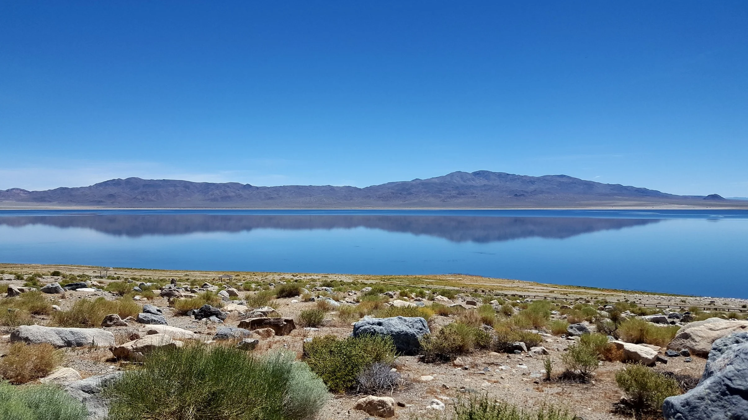 Walker Basin Conservancy