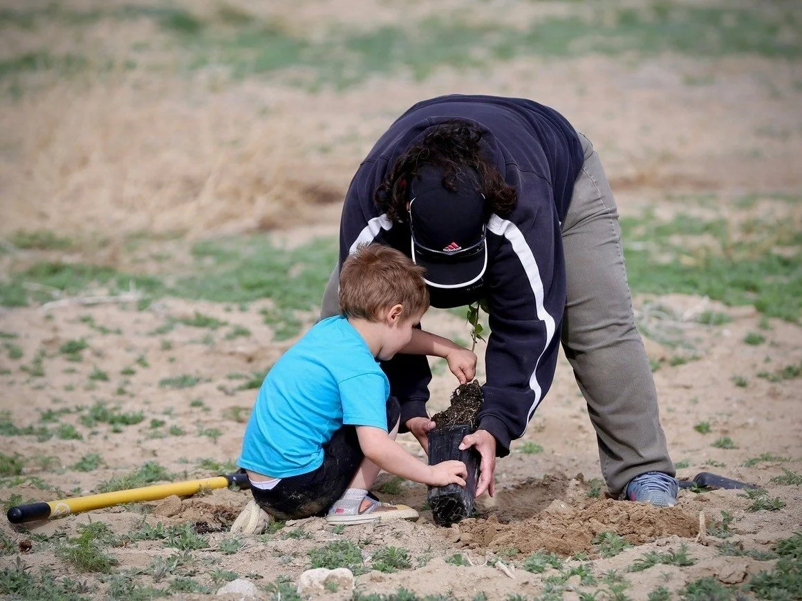 Native Plant Nursery — Walker Basin Conservancy