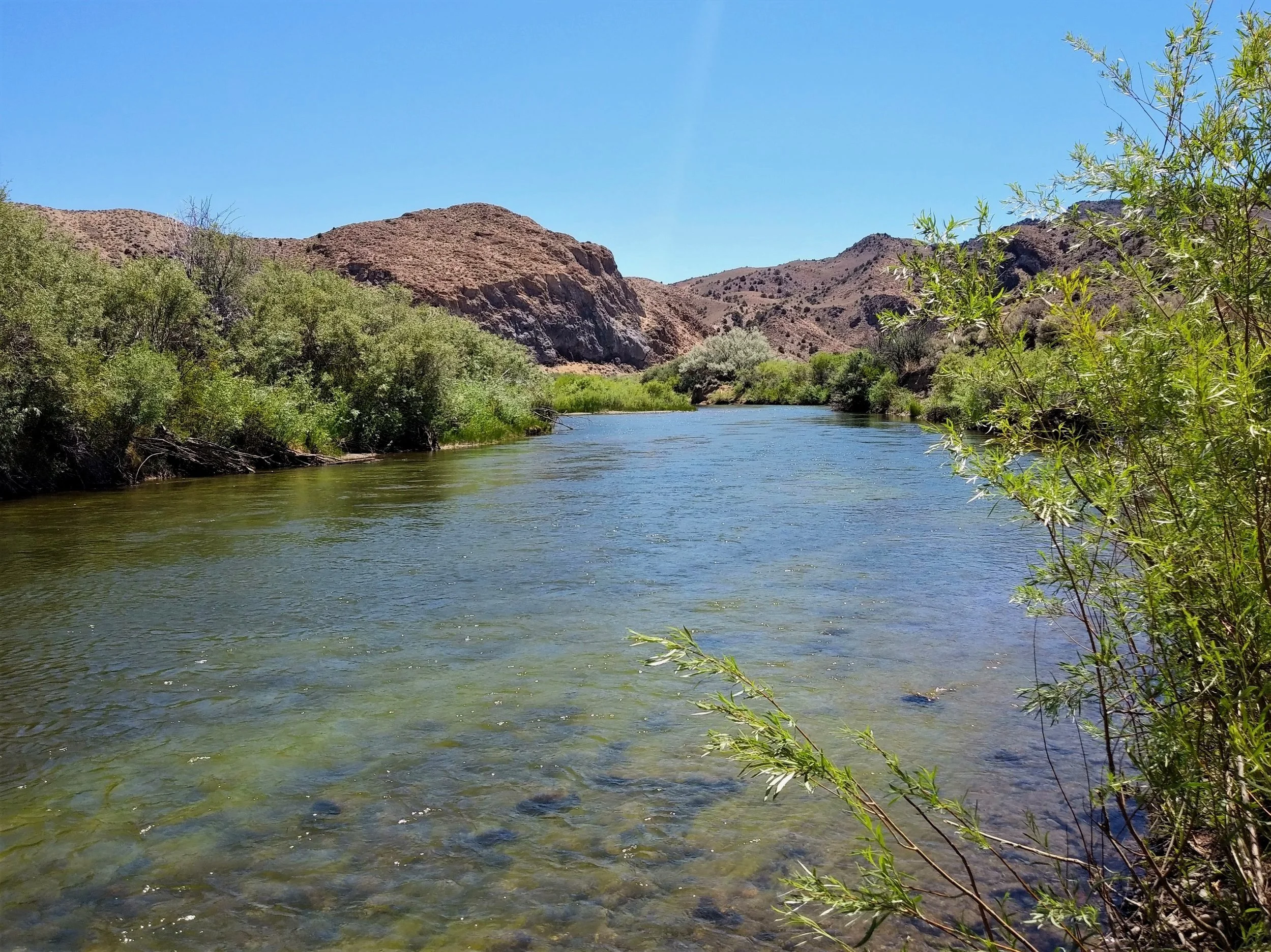 Water Acquisition — Walker Basin Conservancy