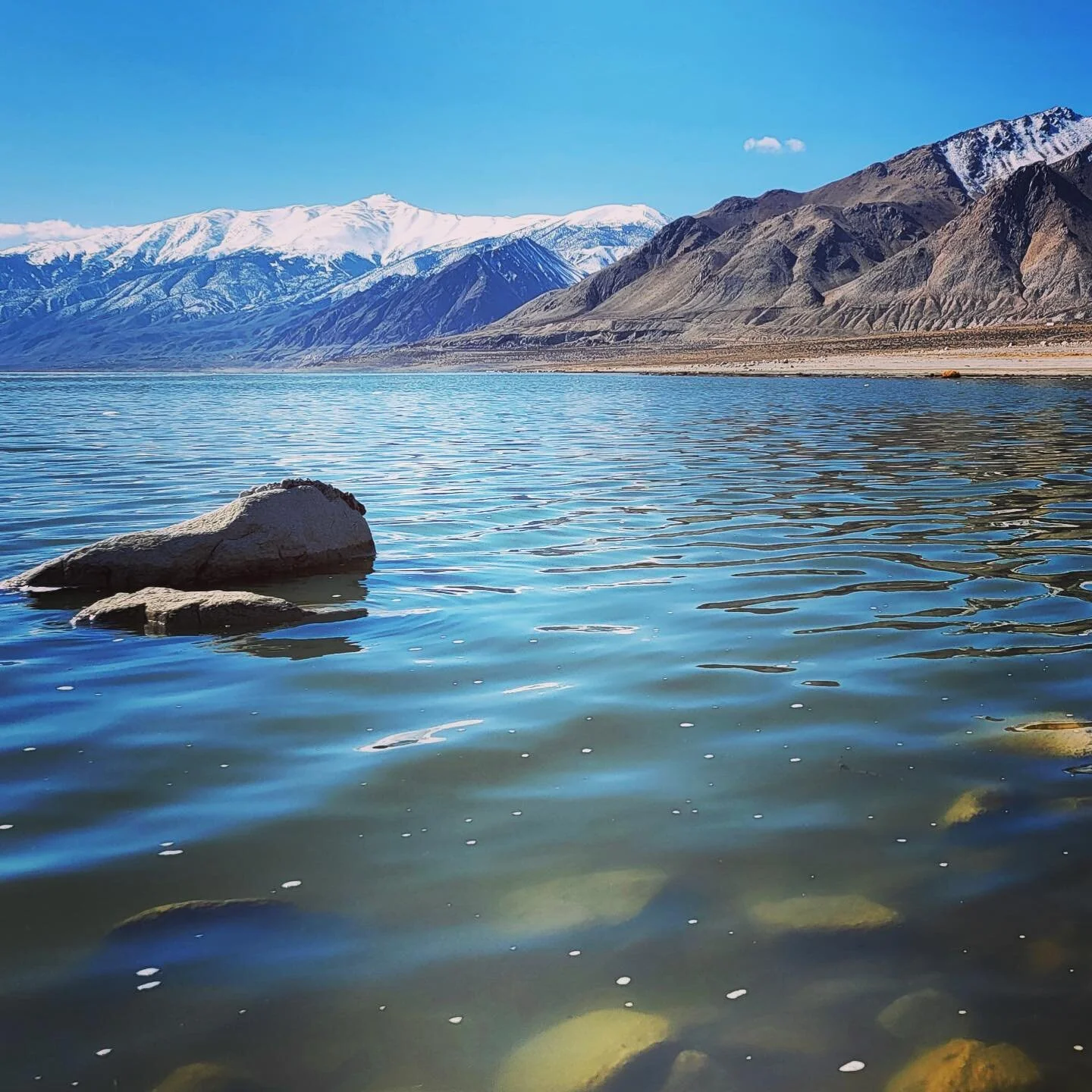 Multimedia — Walker Basin Conservancy