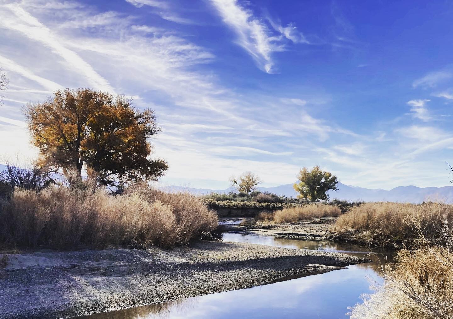 Walker Basin Conservancy
