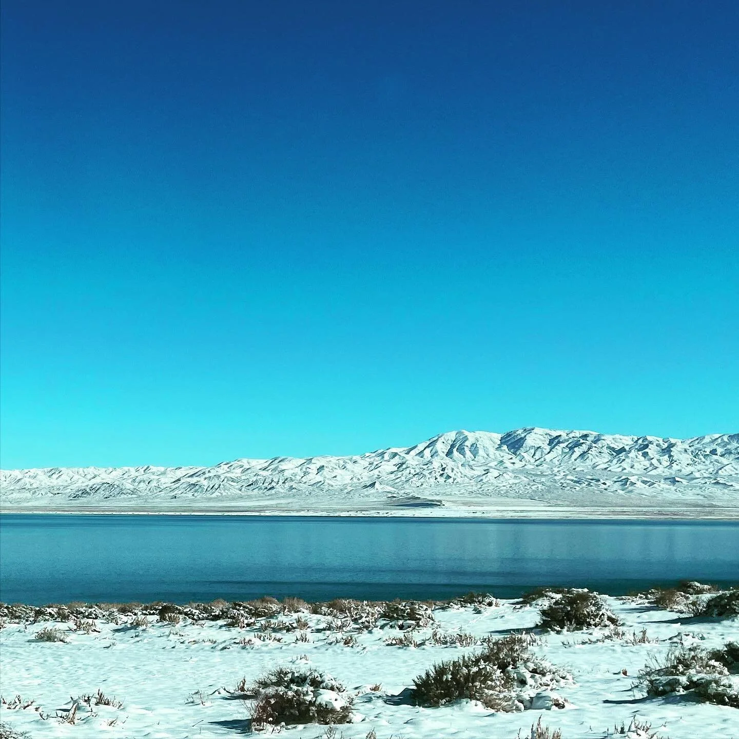 Multimedia — Walker Basin Conservancy