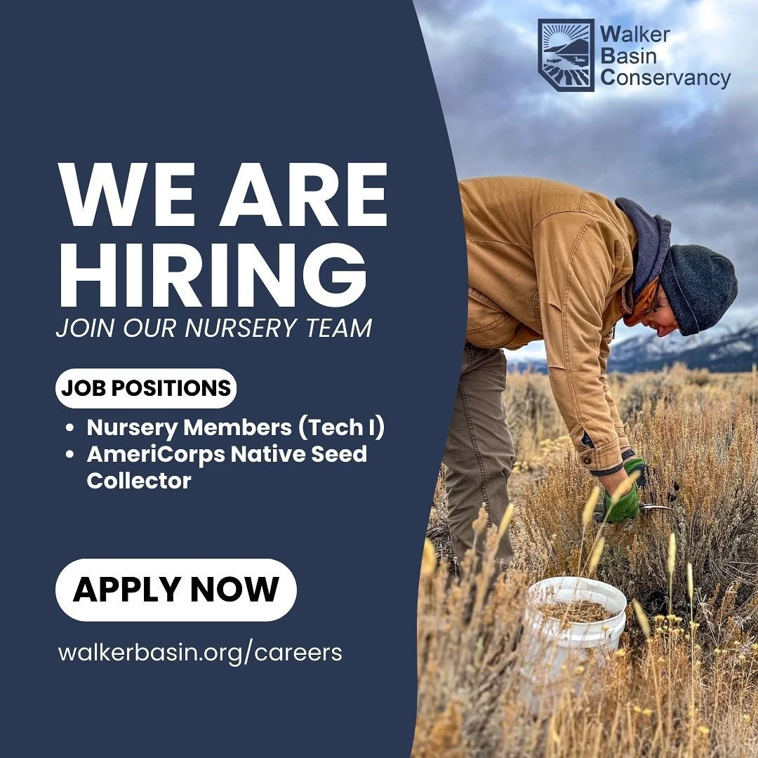 Multimedia — Walker Basin Conservancy