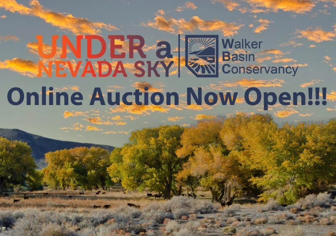 Walker Basin Conservancy