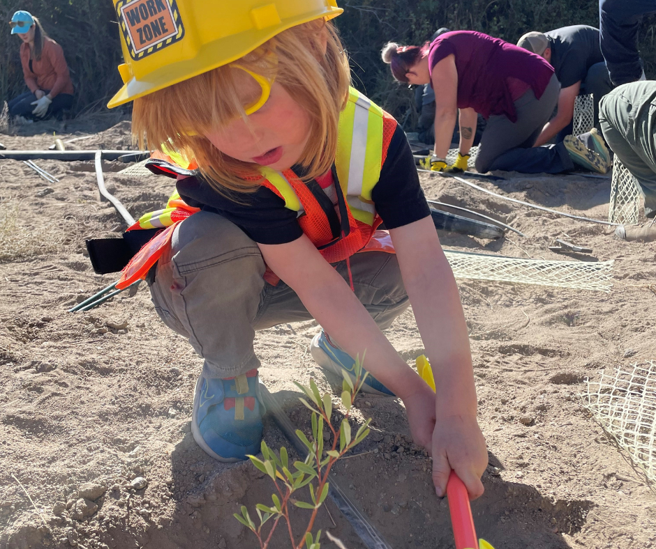 Pollinator Garden Planting — Walker Basin Conservancy