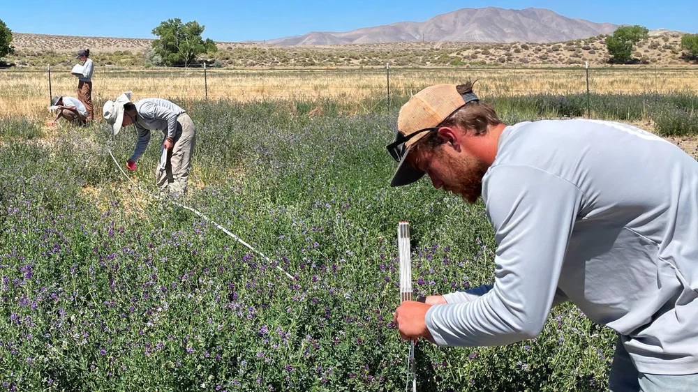 Conservation Science — Walker Basin Conservancy