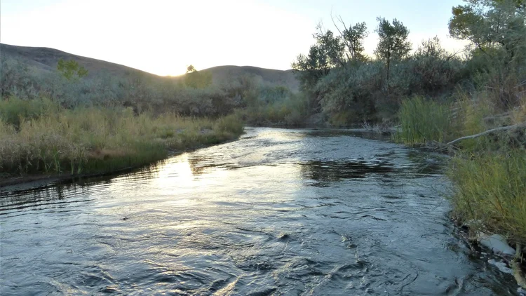 Water Acquisition — Walker Basin Conservancy