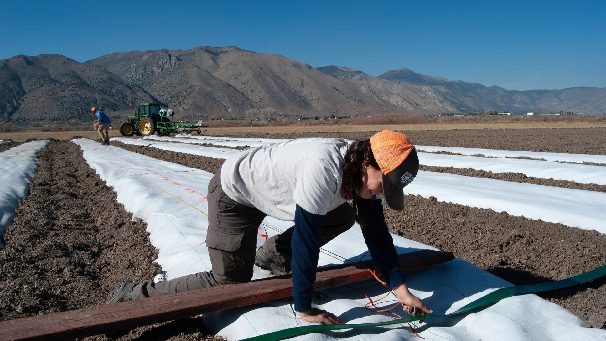 Services — Walker Basin Conservancy