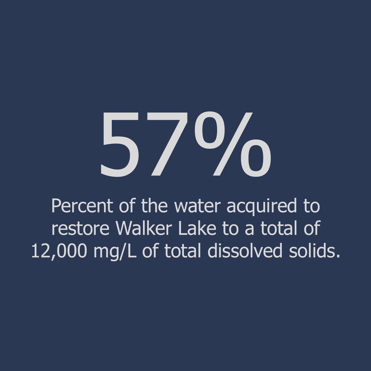 Walker Basin Conservancy