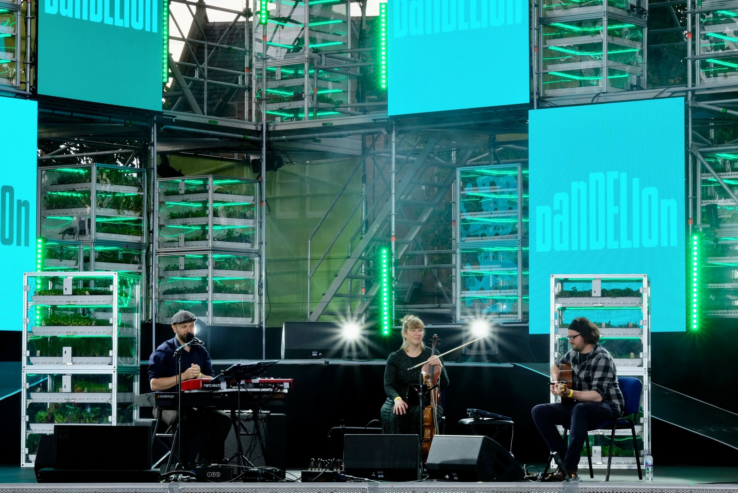 Alexander Williamson