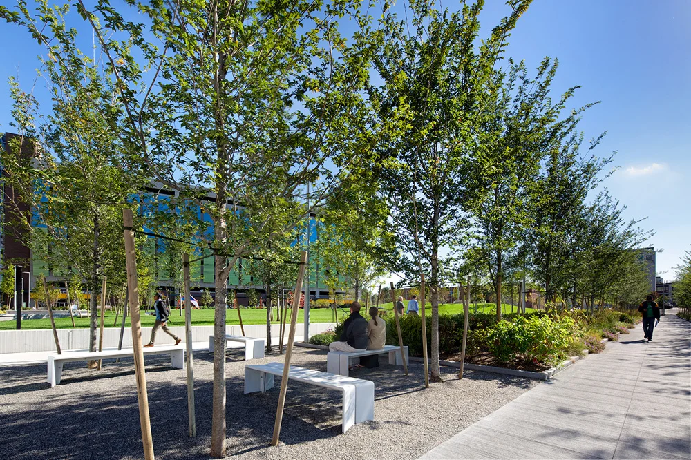 Channel Center Parks — Halvorson | Tighe & Bond