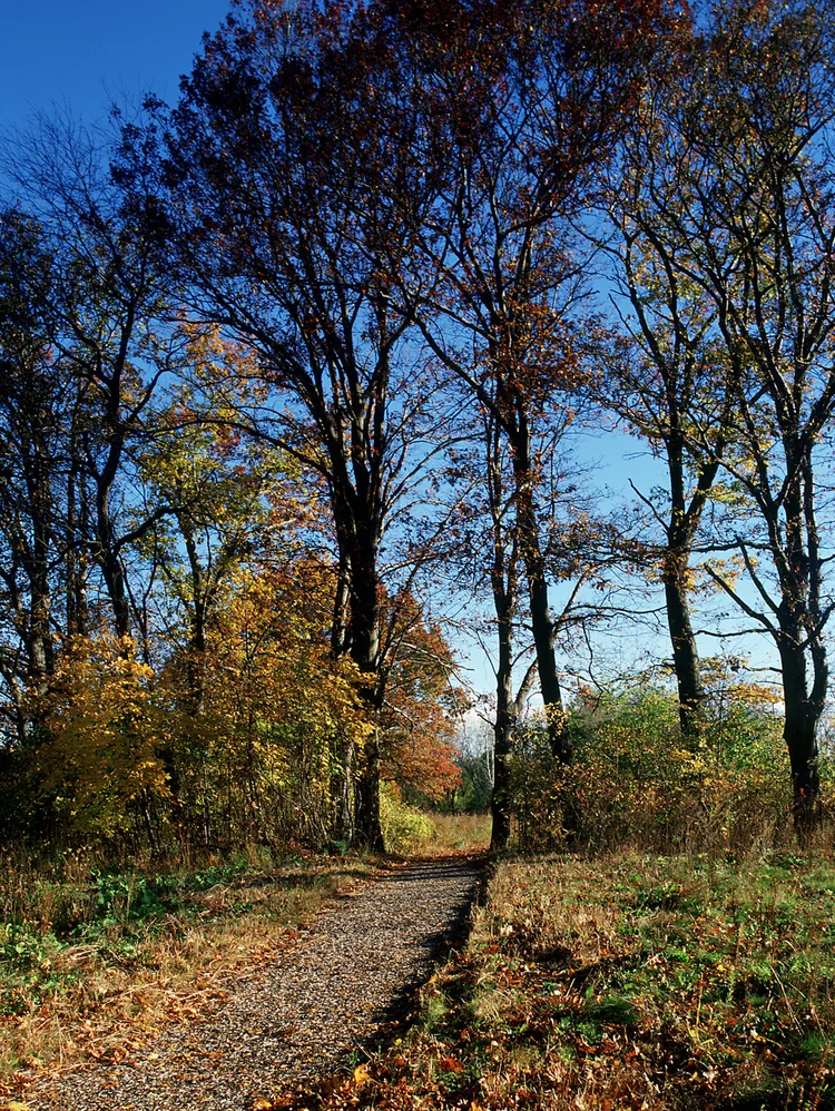 Boston Nature Center — Halvorson | Tighe & Bond Studio
