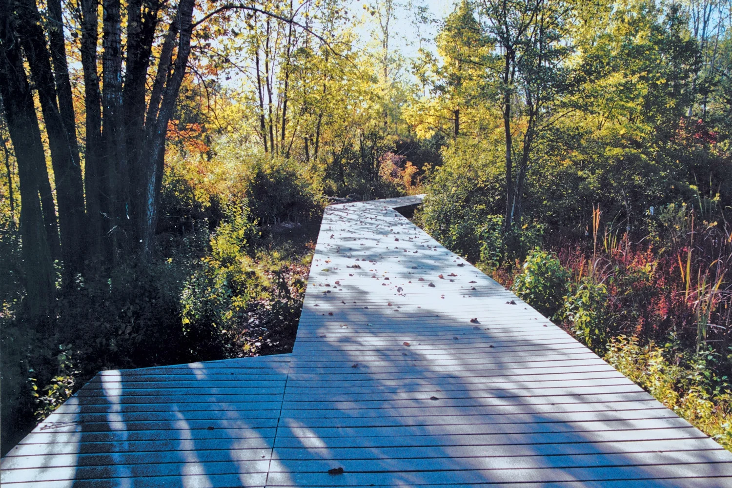 Boston Nature Center — Halvorson | Tighe & Bond Studio
