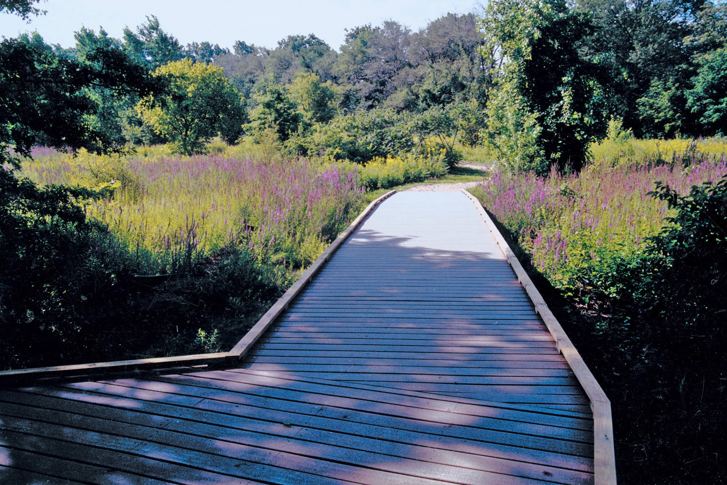 Boston Nature Center — Halvorson | Tighe & Bond Studio