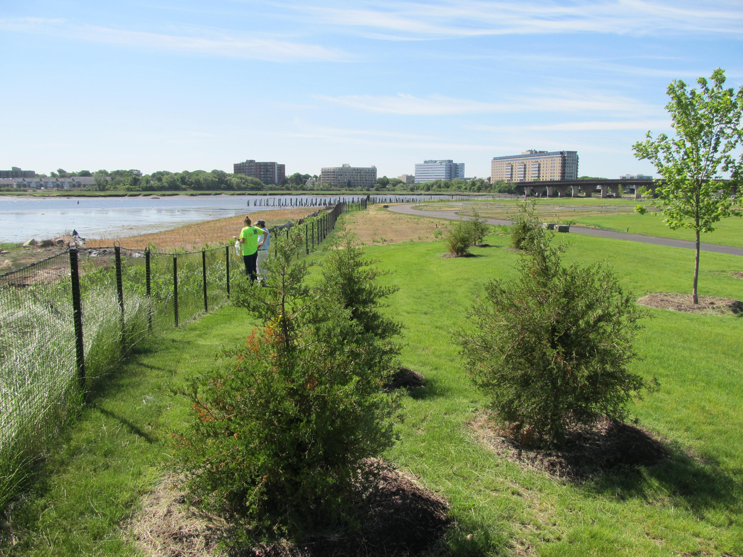 Sen. Joseph Finnegan Park — Halvorson | Tighe & Bond