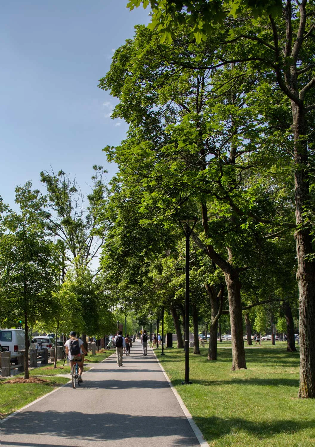 Cambridge Common + Flagstaff Park — Halvorson | Tighe & Bond