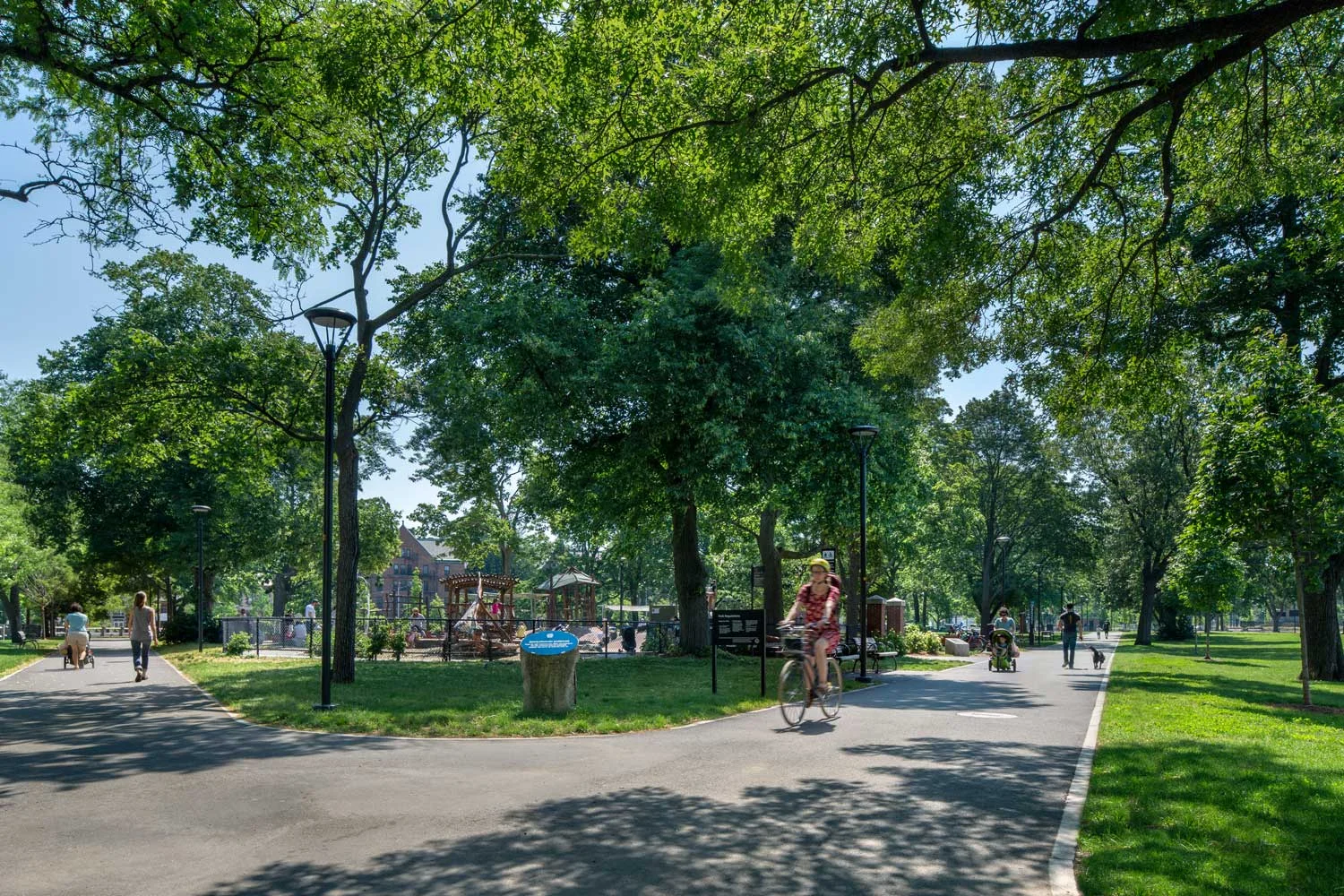 Cambridge Common + Flagstaff Park — Halvorson | Tighe & Bond