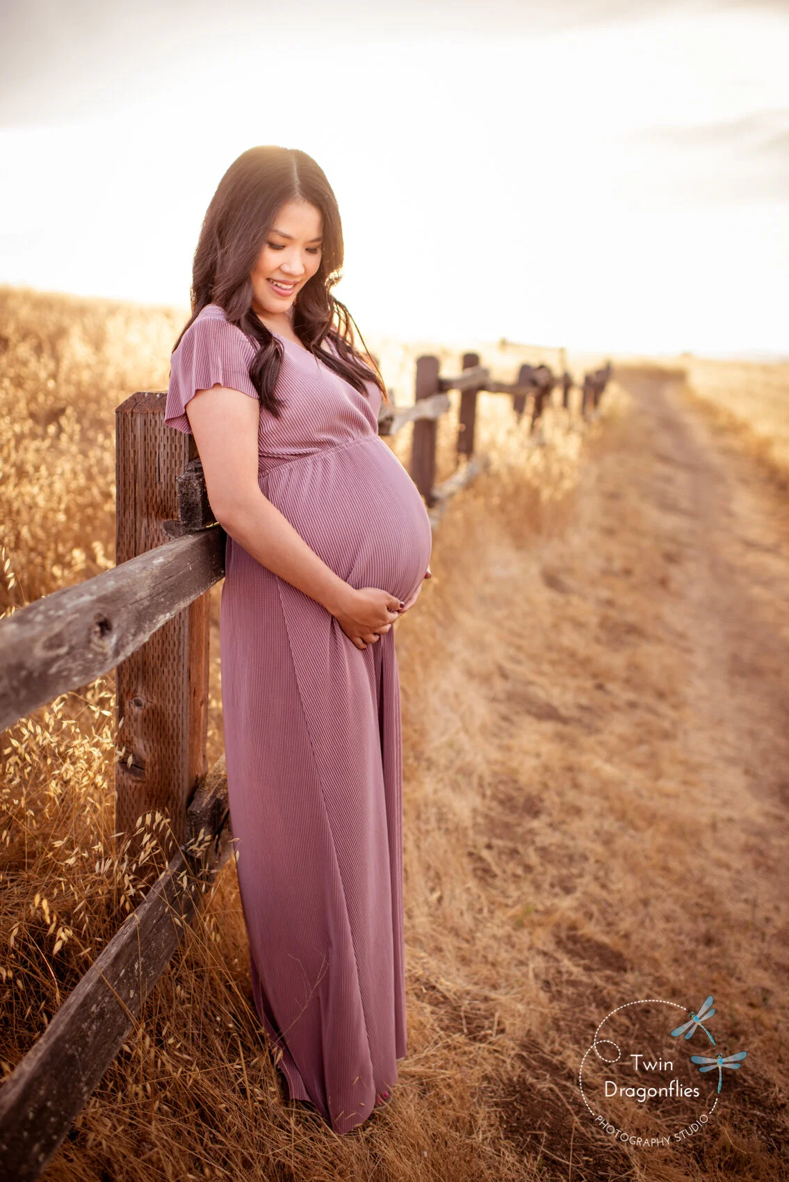 Twin Maternity Photo Ideas