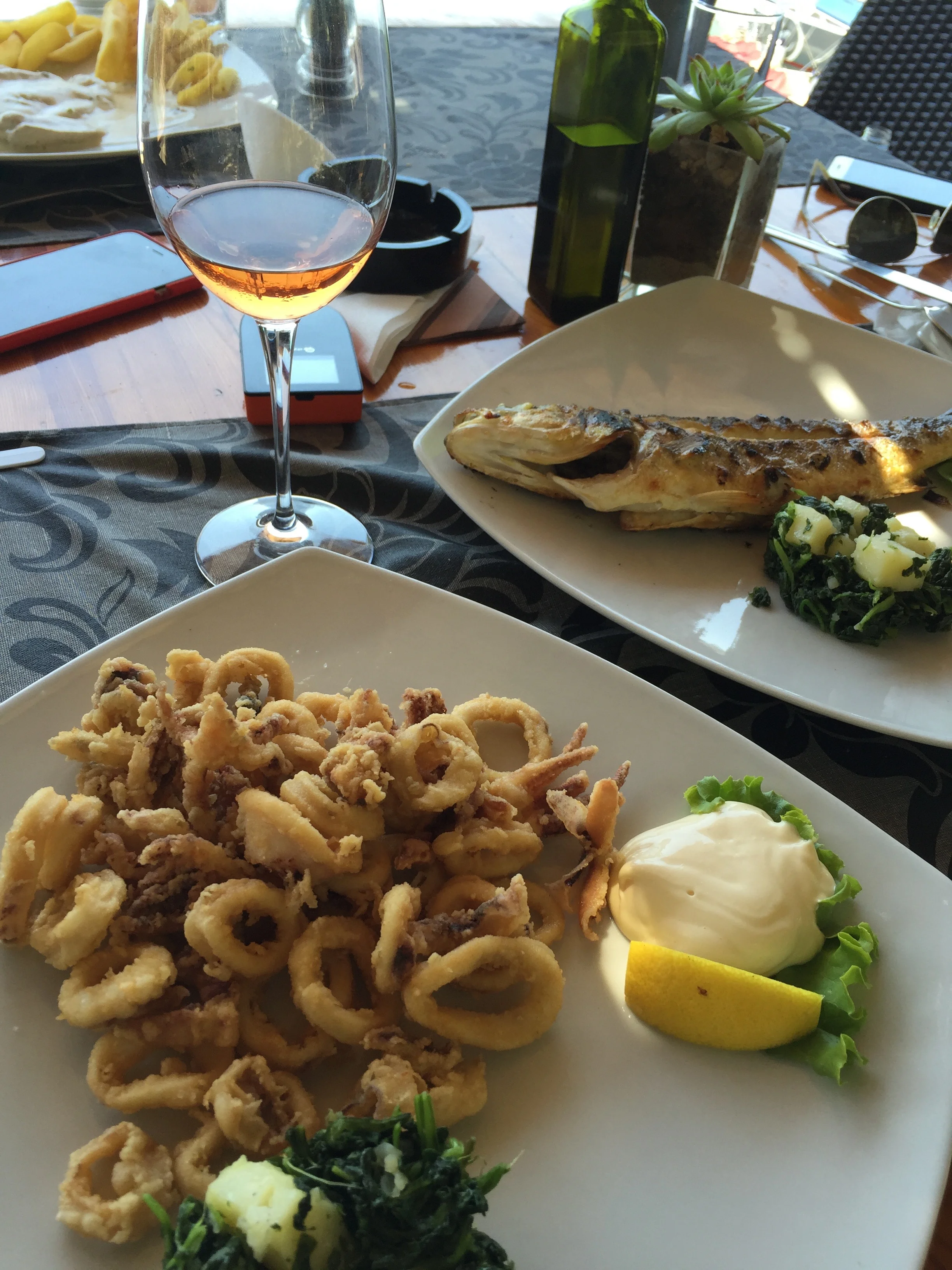 WELCOME TO HVAR CROATIA — The Grateful Gardenia