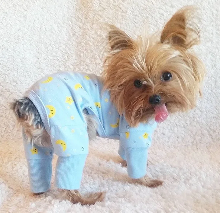 Wagdrobe - Happy Waggers — Wagdrobe - Pet Fashion Surprise Box that's ...