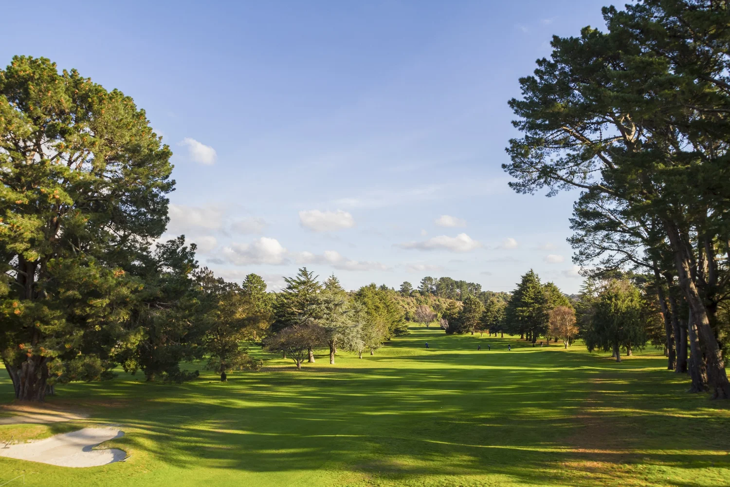 The Manawatu Golf Club is situated in Palmerston North's suburb of ...
