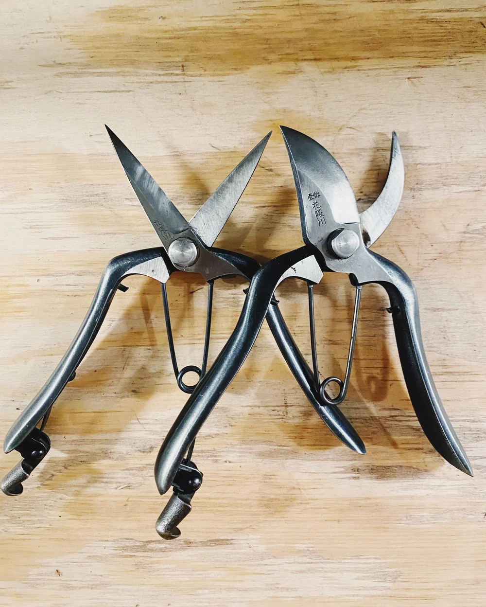 Tools for an Elevated Plant Experience — STUMP PLANTS · WARES · COMMUNITY