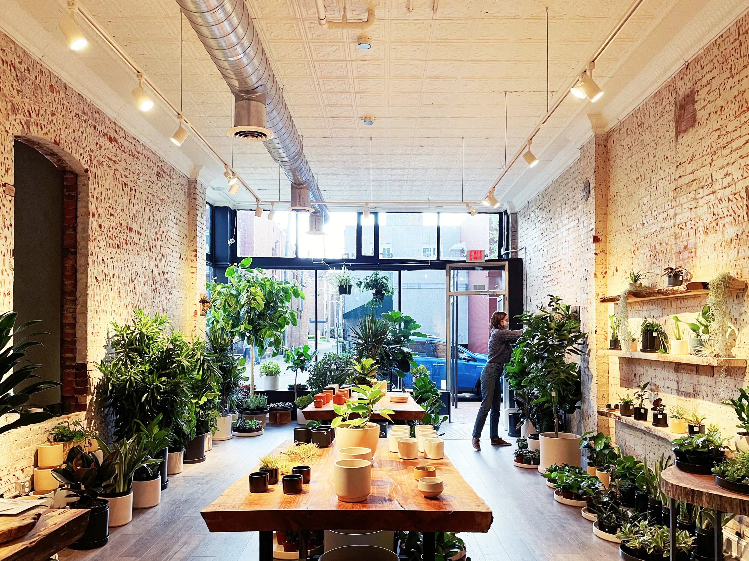 LANCASTER, OH : DOWNTOWN — STUMP | Curated Plants + Sustainably Crafted ...