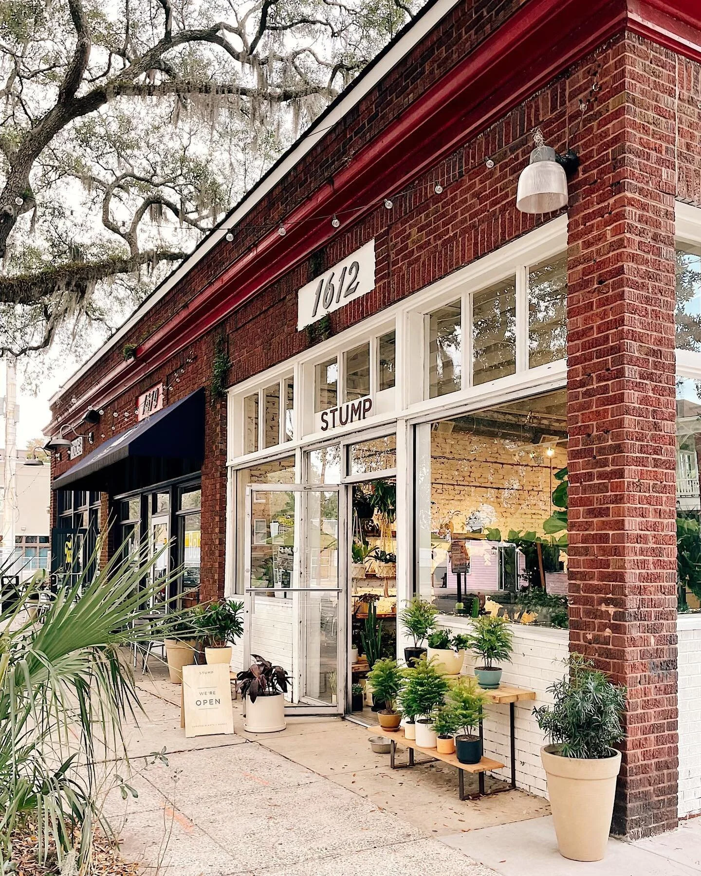 ABOUT US — STUMP | Curated Plants + Sustainably Crafted Wares