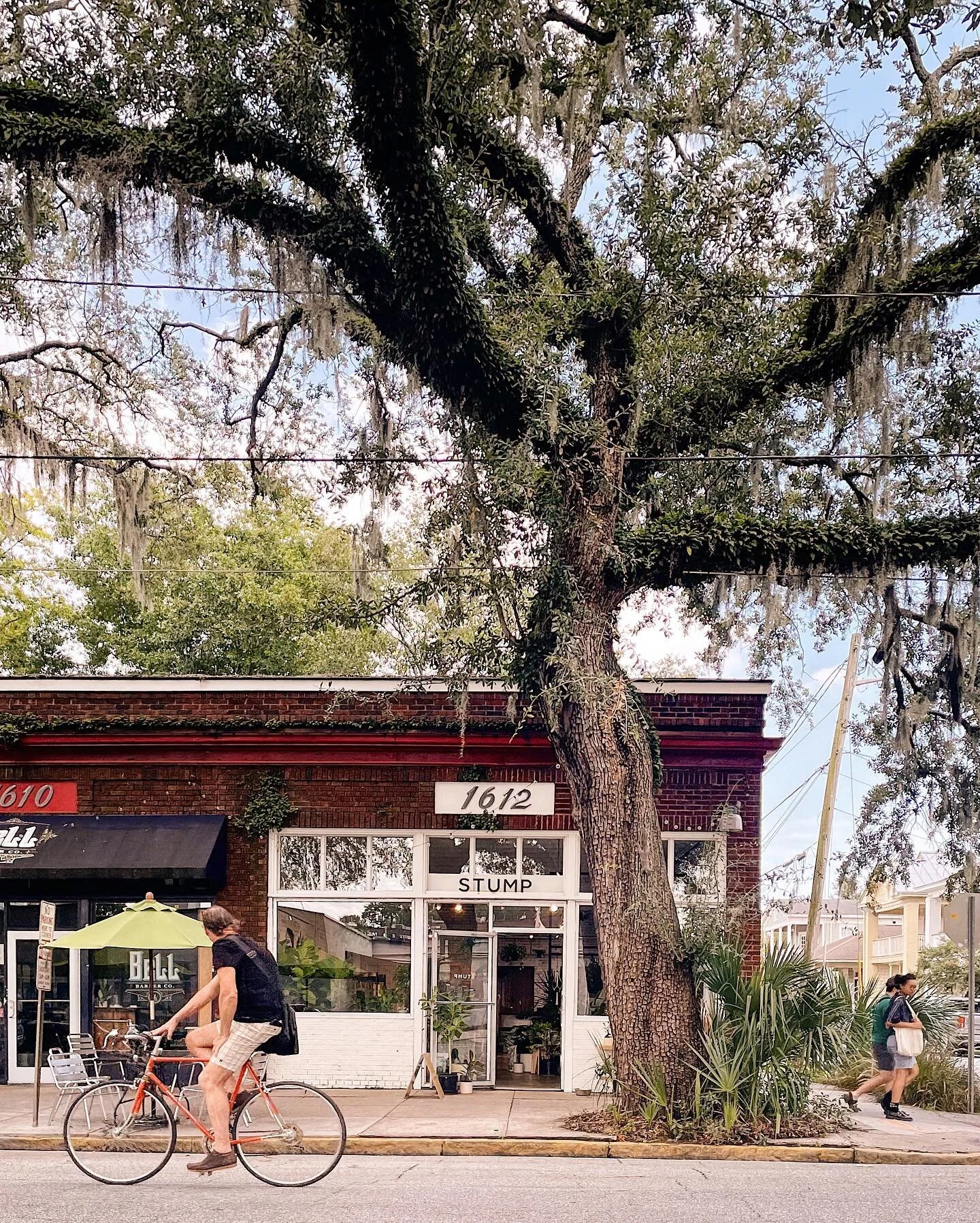 ABOUT US — STUMP | Curated Plants + Sustainably Crafted Wares