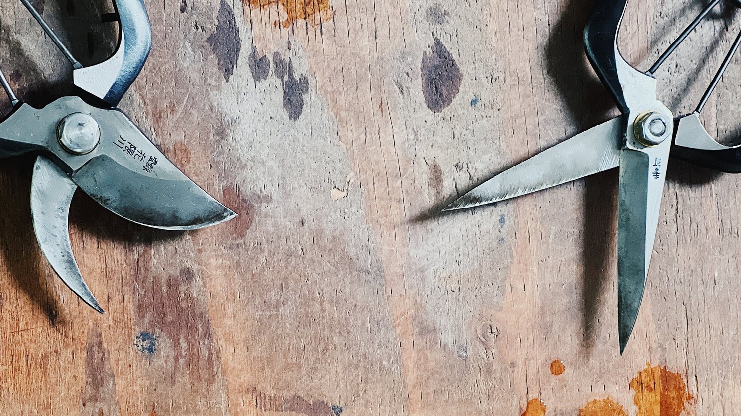 Sliding Stones to Slicing Stems — How to Maintain your Shear's ...